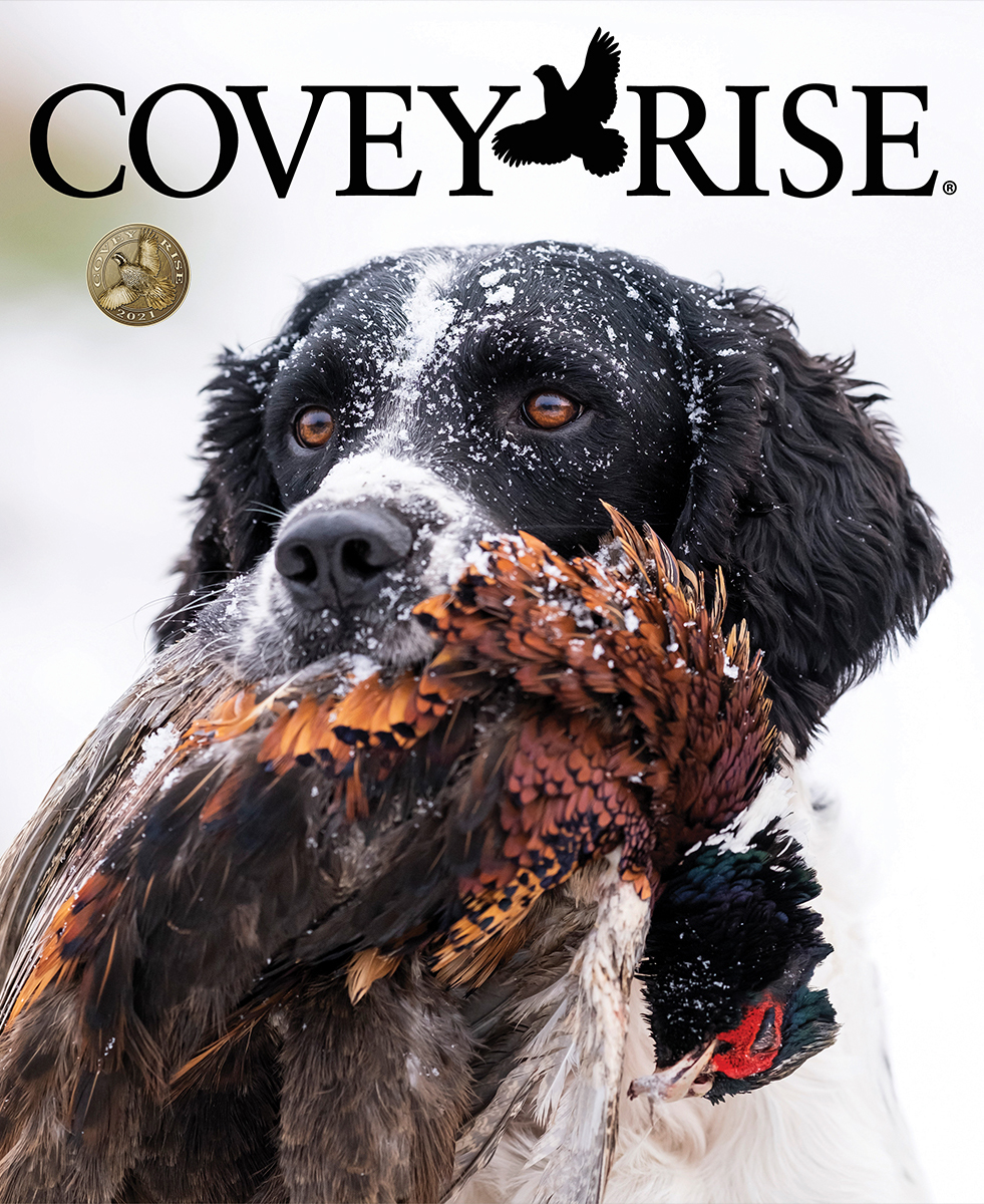 The February-March 2021 Preview – Covey Rise Article | Pine Shadows ...