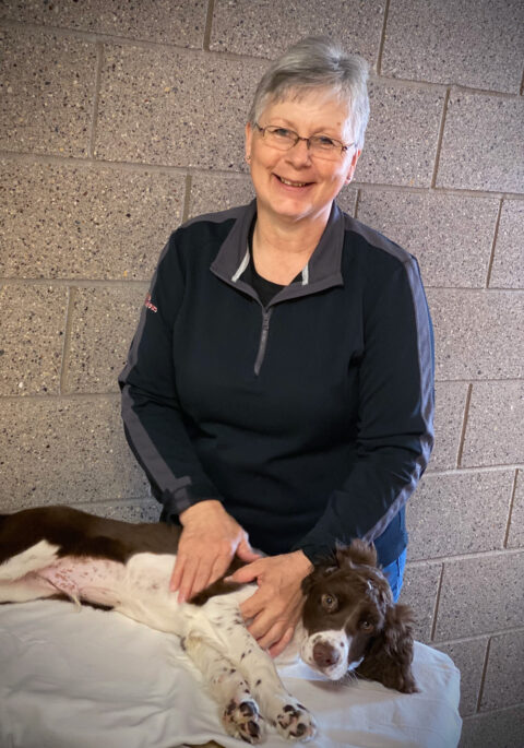 About | Pine Shadows | Hunting | Dog Training | Daybreak Hunting Lodge ...