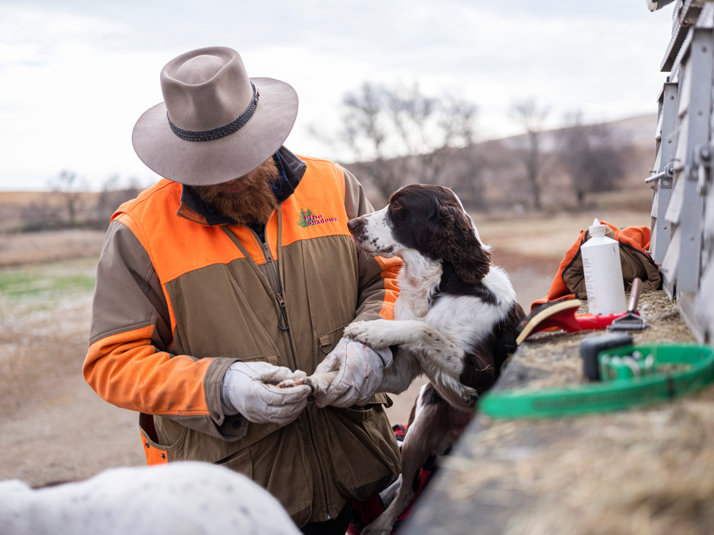 Resources | Pine Shadows | Hunting | Dog Training | Daybreak Hunting ...