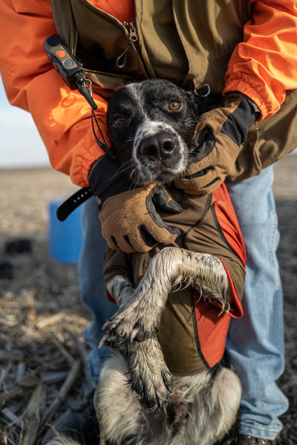 Contact | Pine Shadows | Hunting | Dog Training | Daybreak Hunting ...